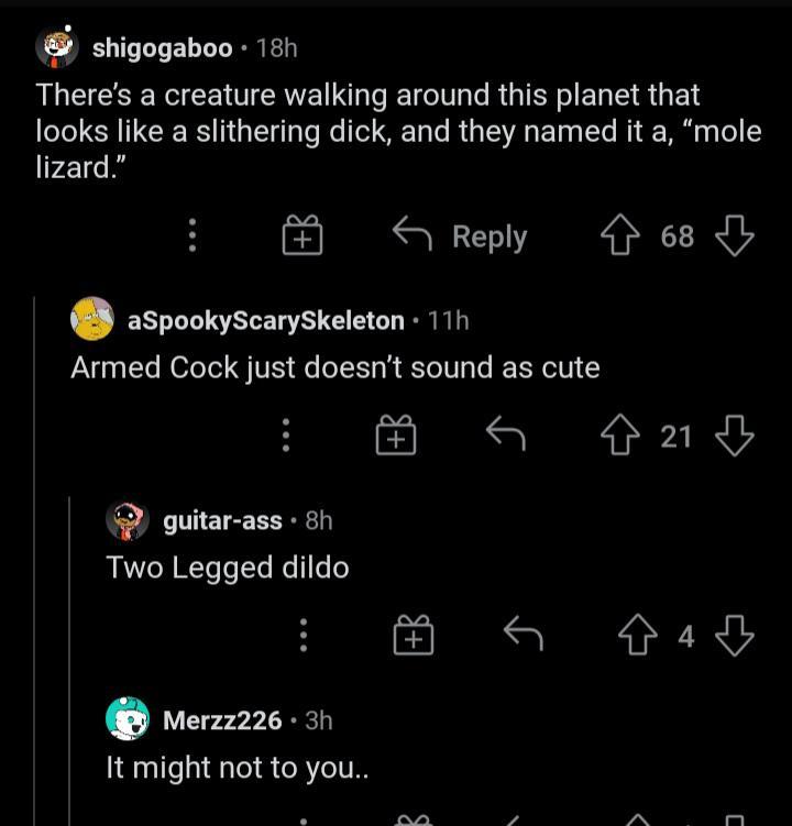 Cursed_mexican mole lizard | Scrolller