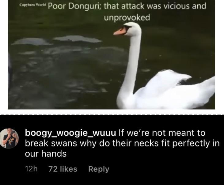 cursed_neck | Scrolller