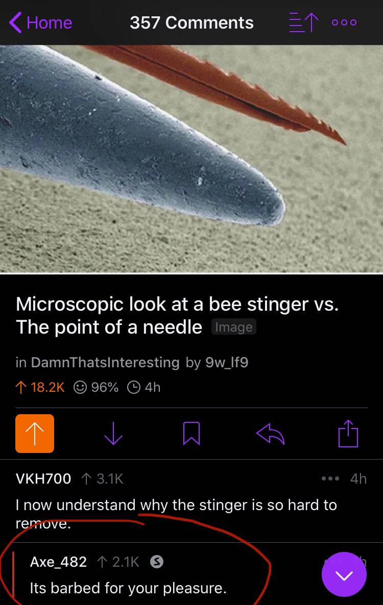 Cursed_Needle | Scrolller