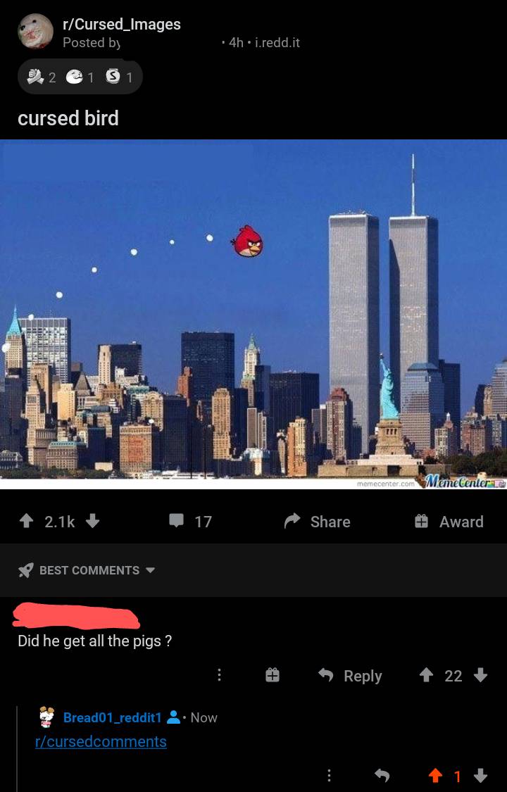 Cursed pig | Scrolller