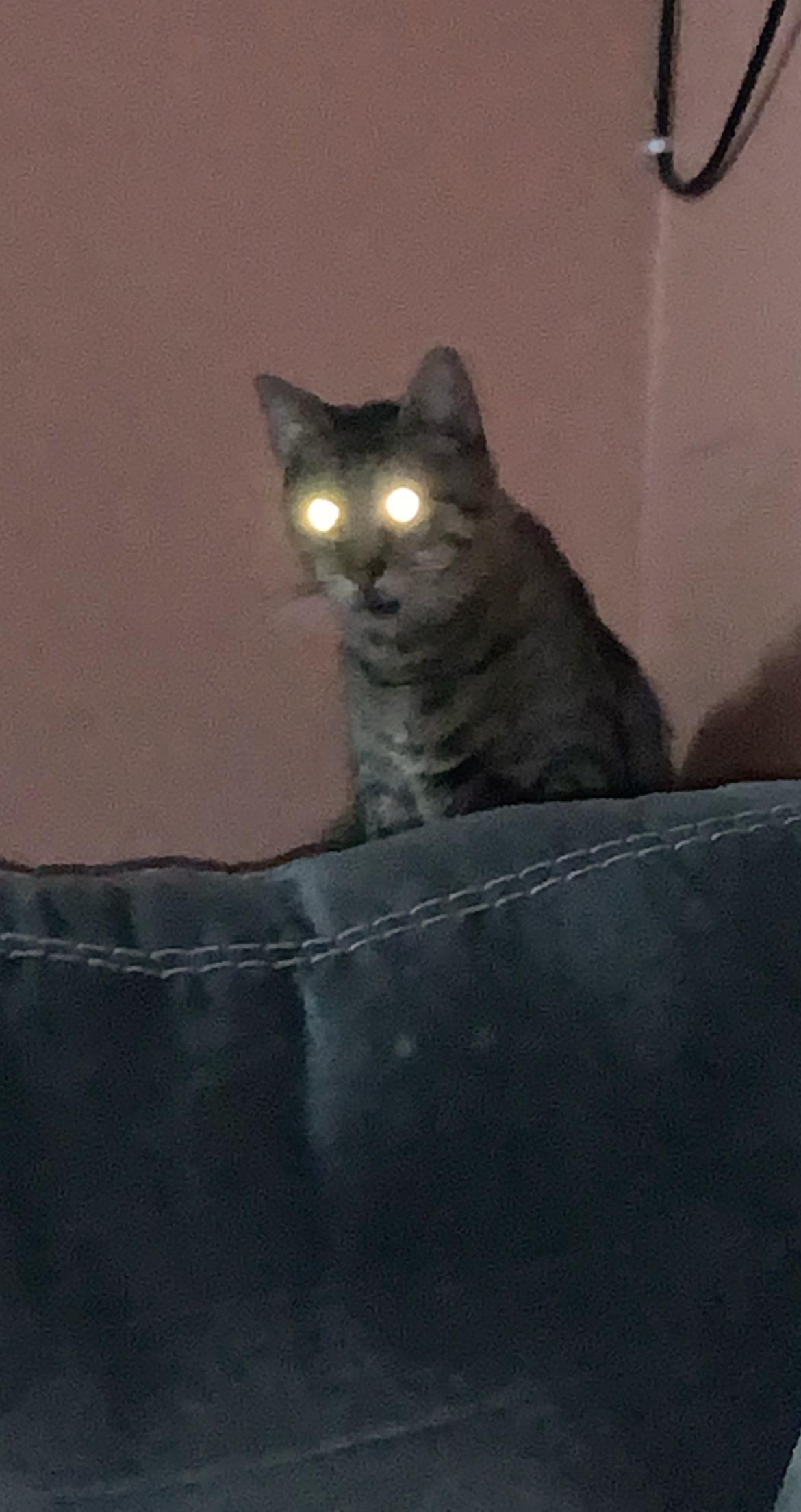 cursed_possessed | Scrolller