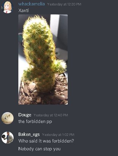 Cursed_PP | Scrolller