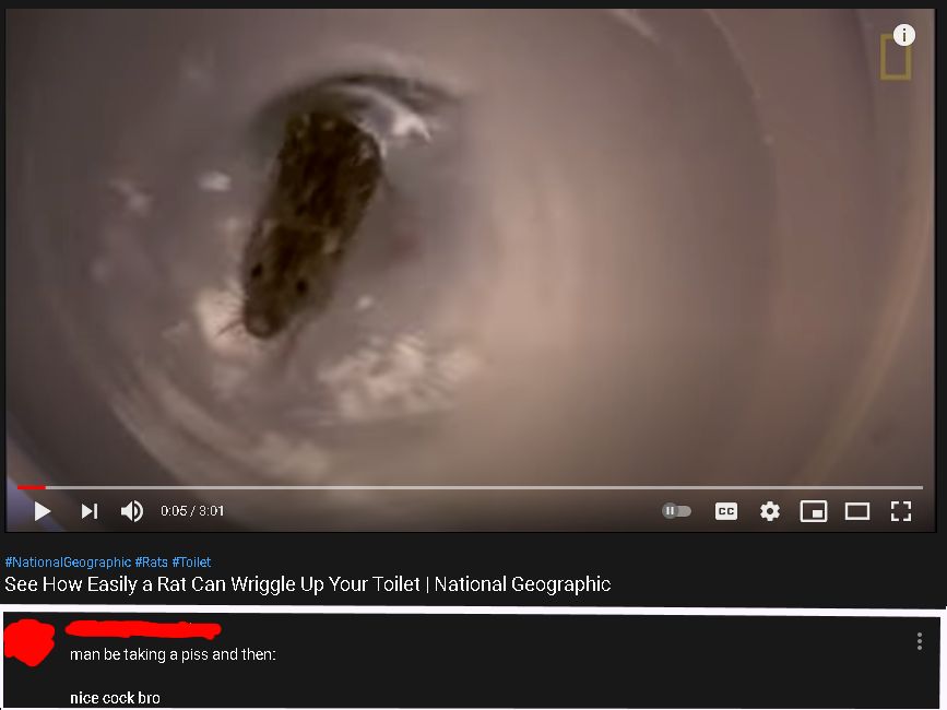 Cursed_Rat | Scrolller