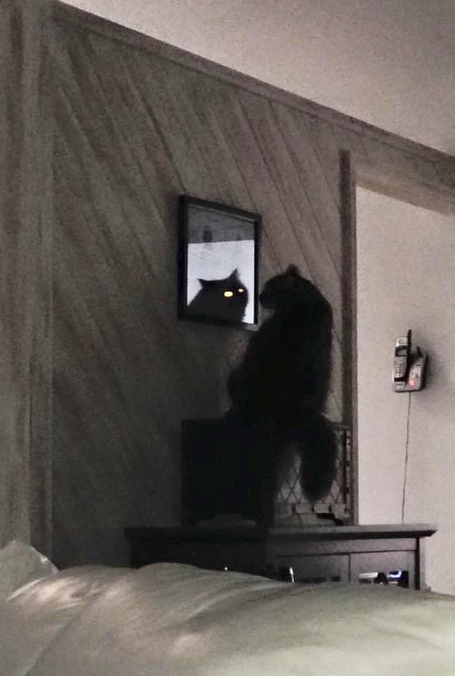 Cursed_reflection | Scrolller