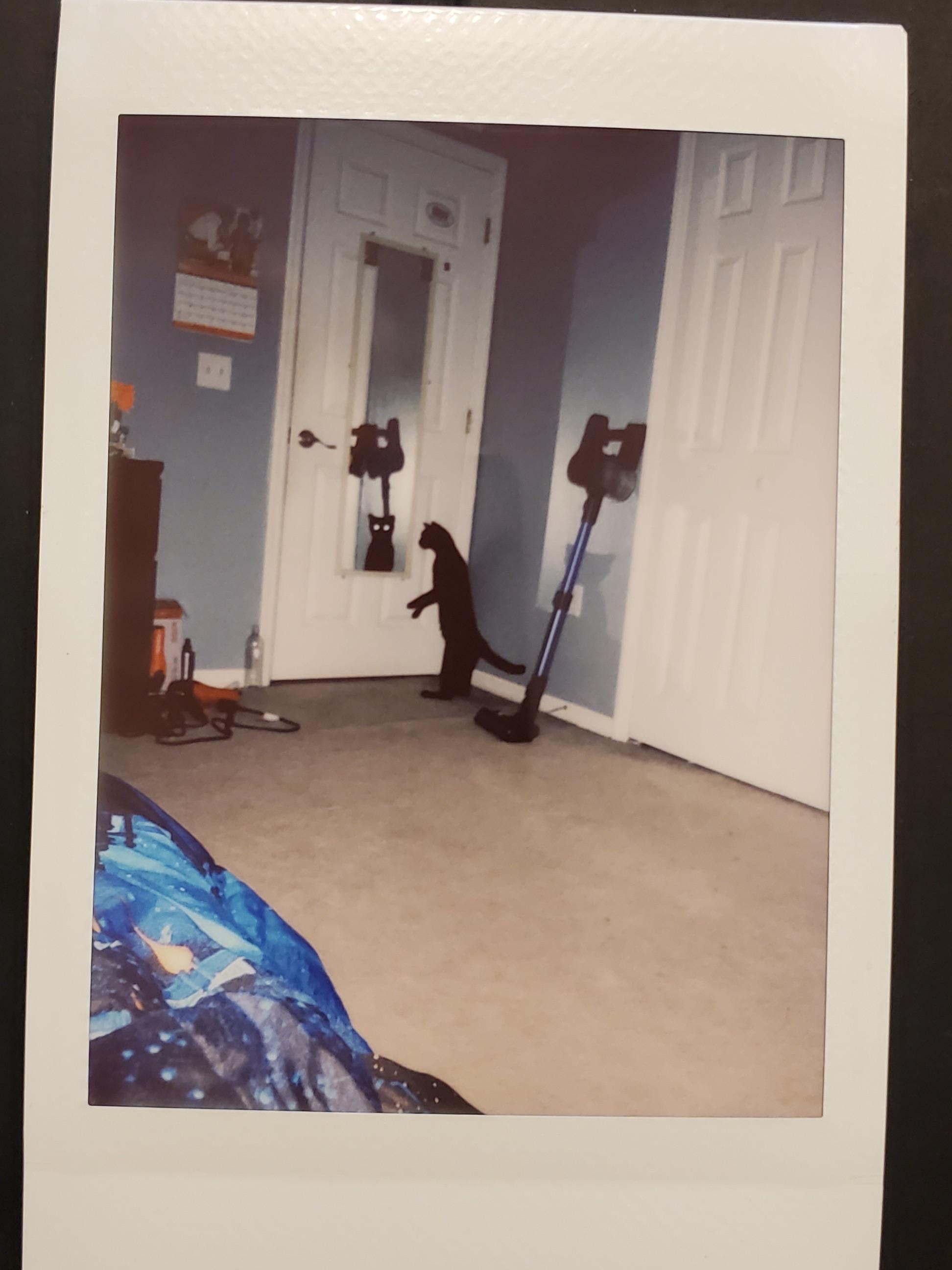 Cursed_reflection | Scrolller