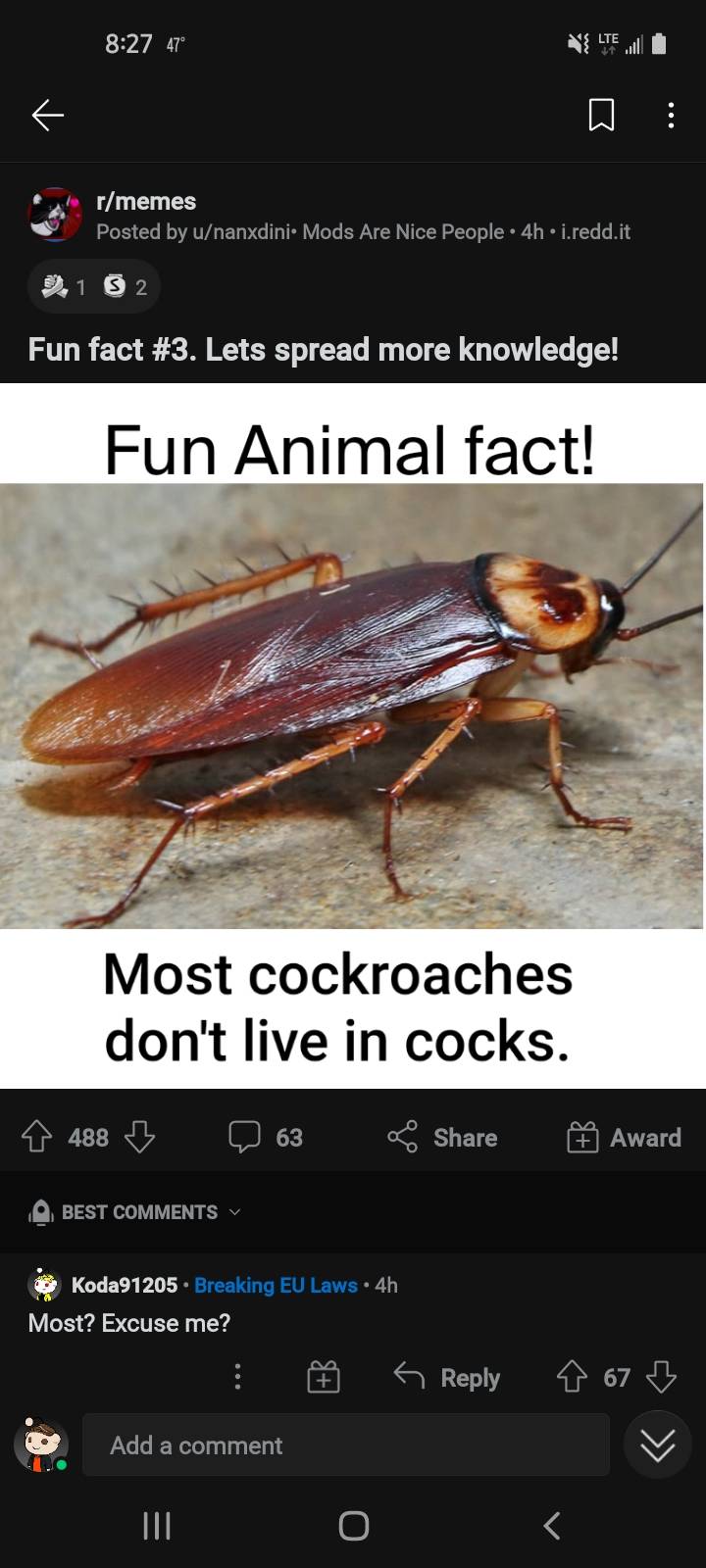 Cursed_roach | Scrolller