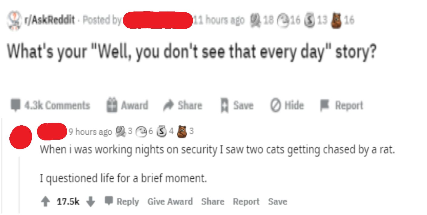 Cursed_scenario | Scrolller