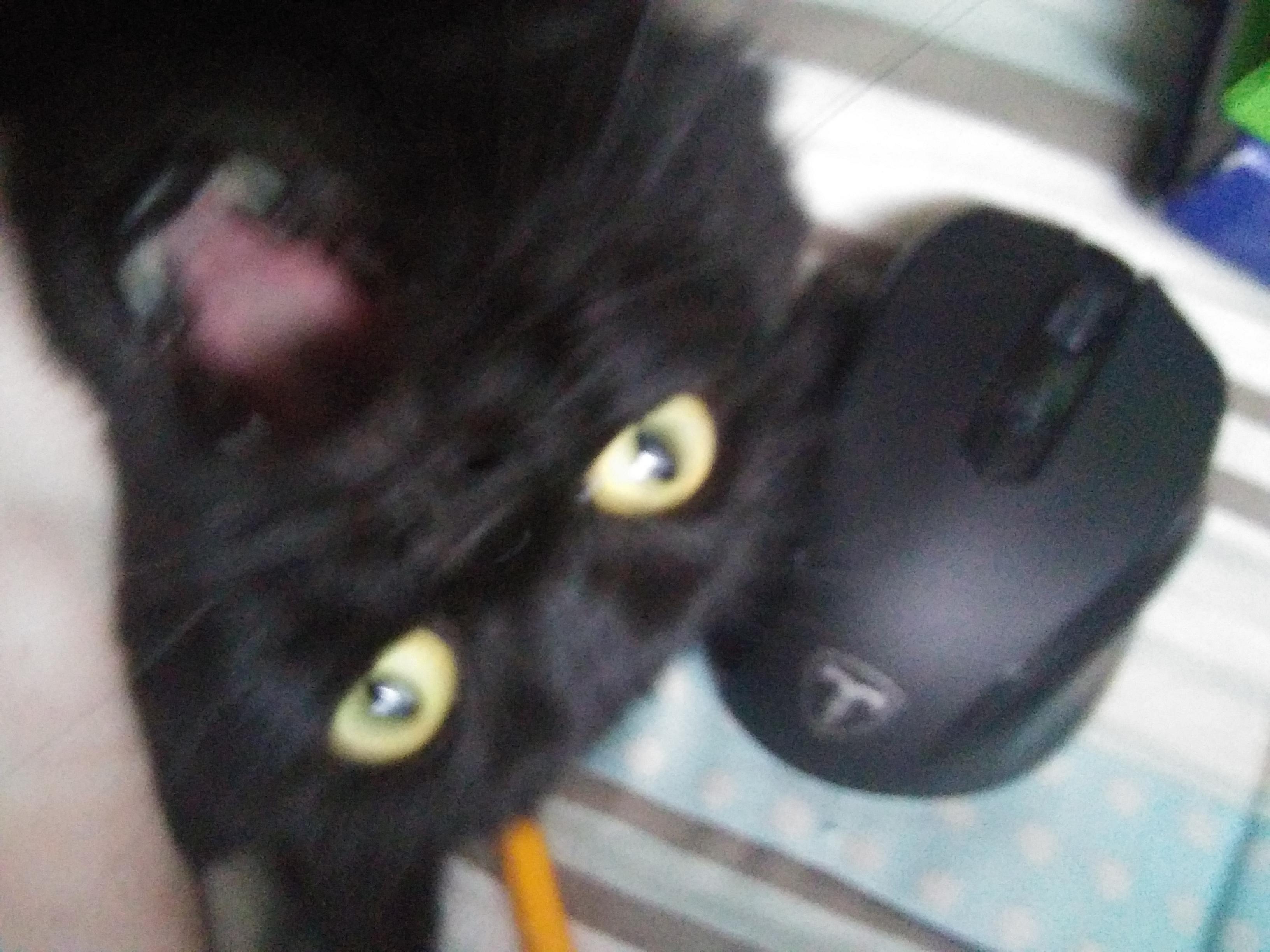 cursed_scream | Scrolller