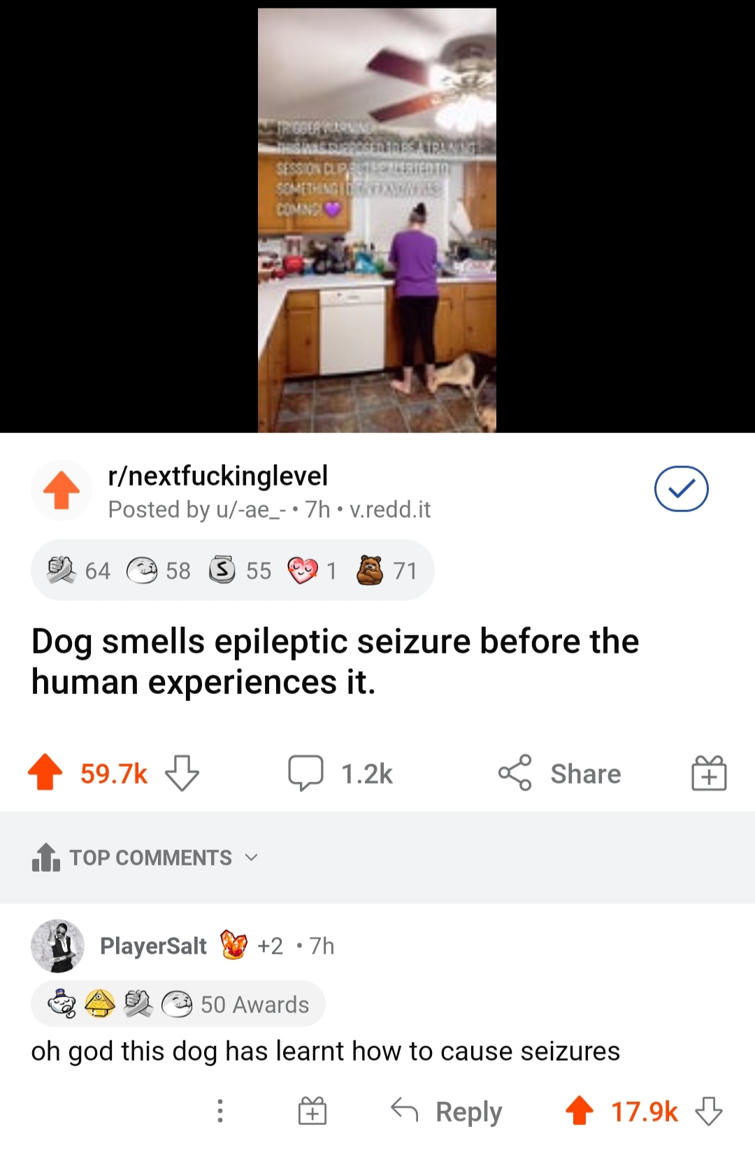 Cursed_Seizure | Scrolller