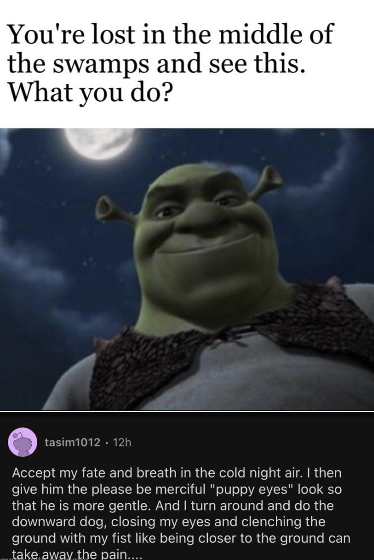 Cursed_shrek | Scrolller