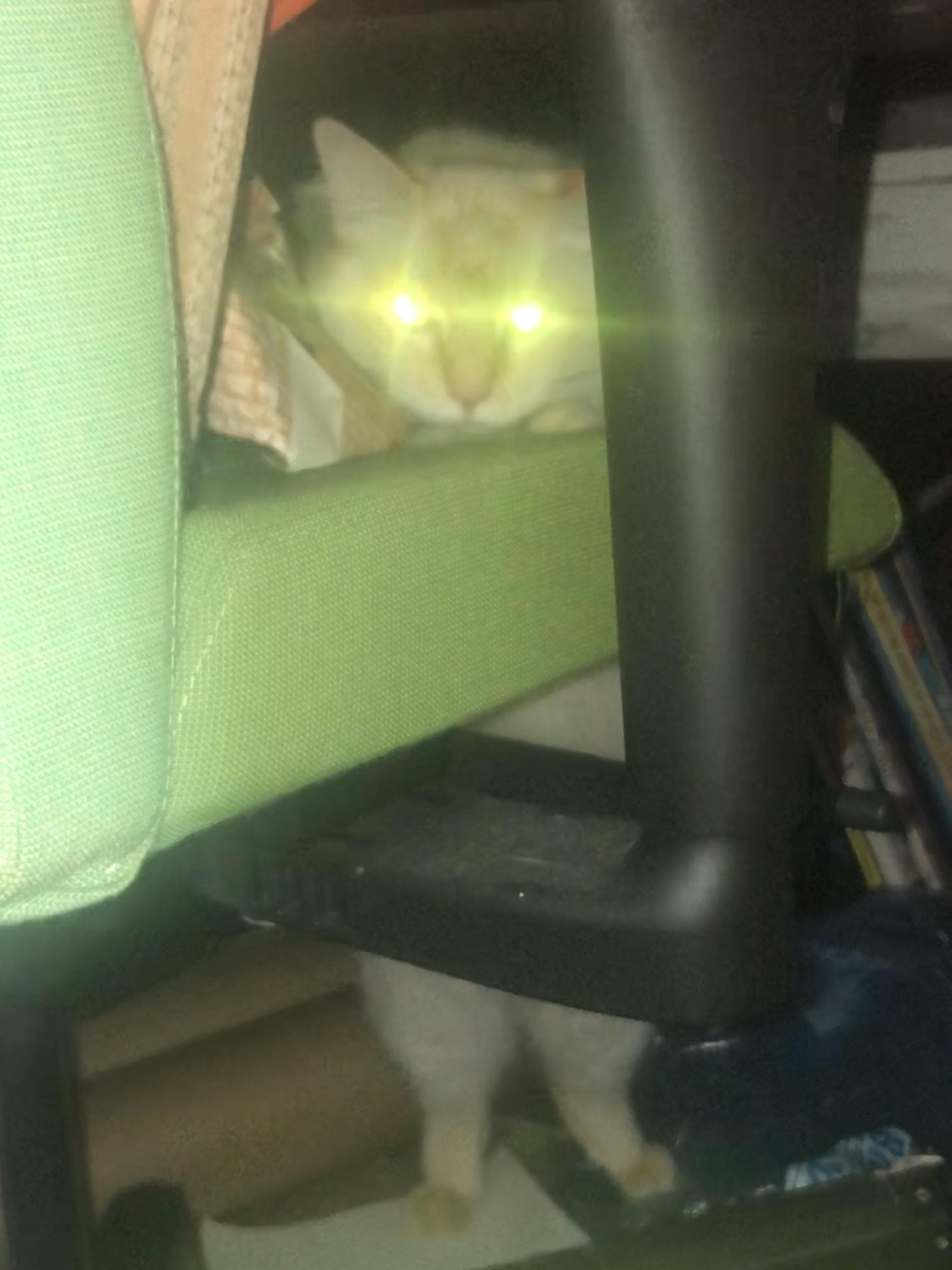 Cursed_Sight | Scrolller