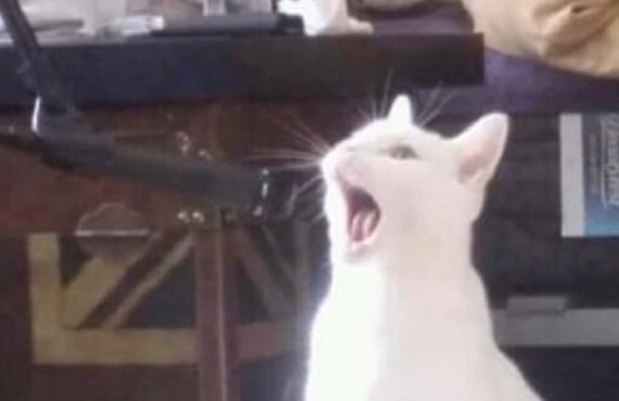 cursed_sing | Scrolller