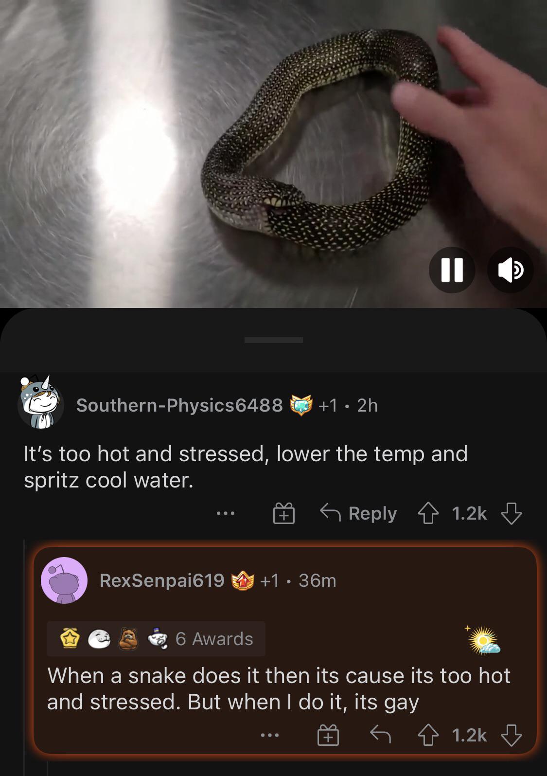 Cursed_snake | Scrolller