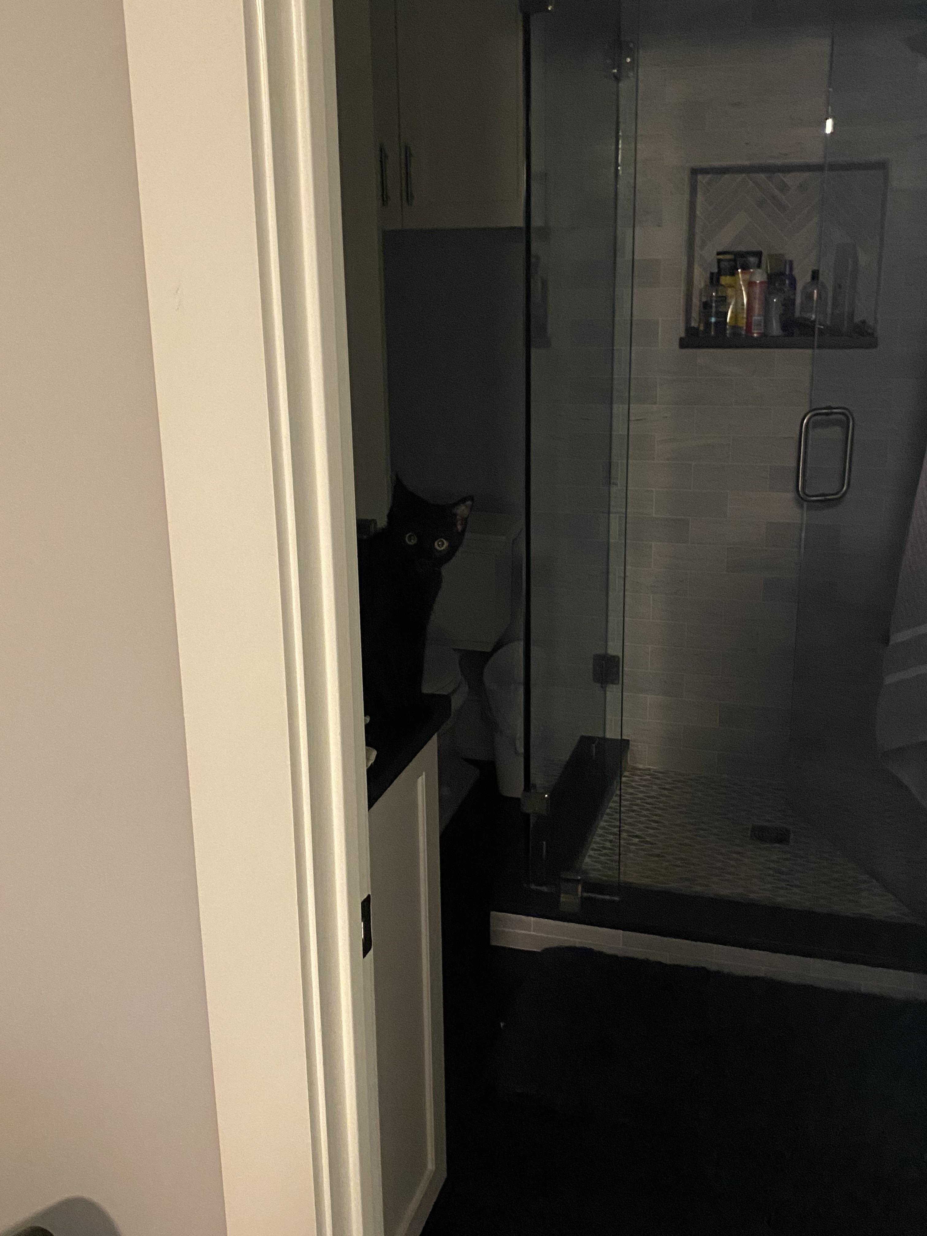 cursed_stare | Scrolller