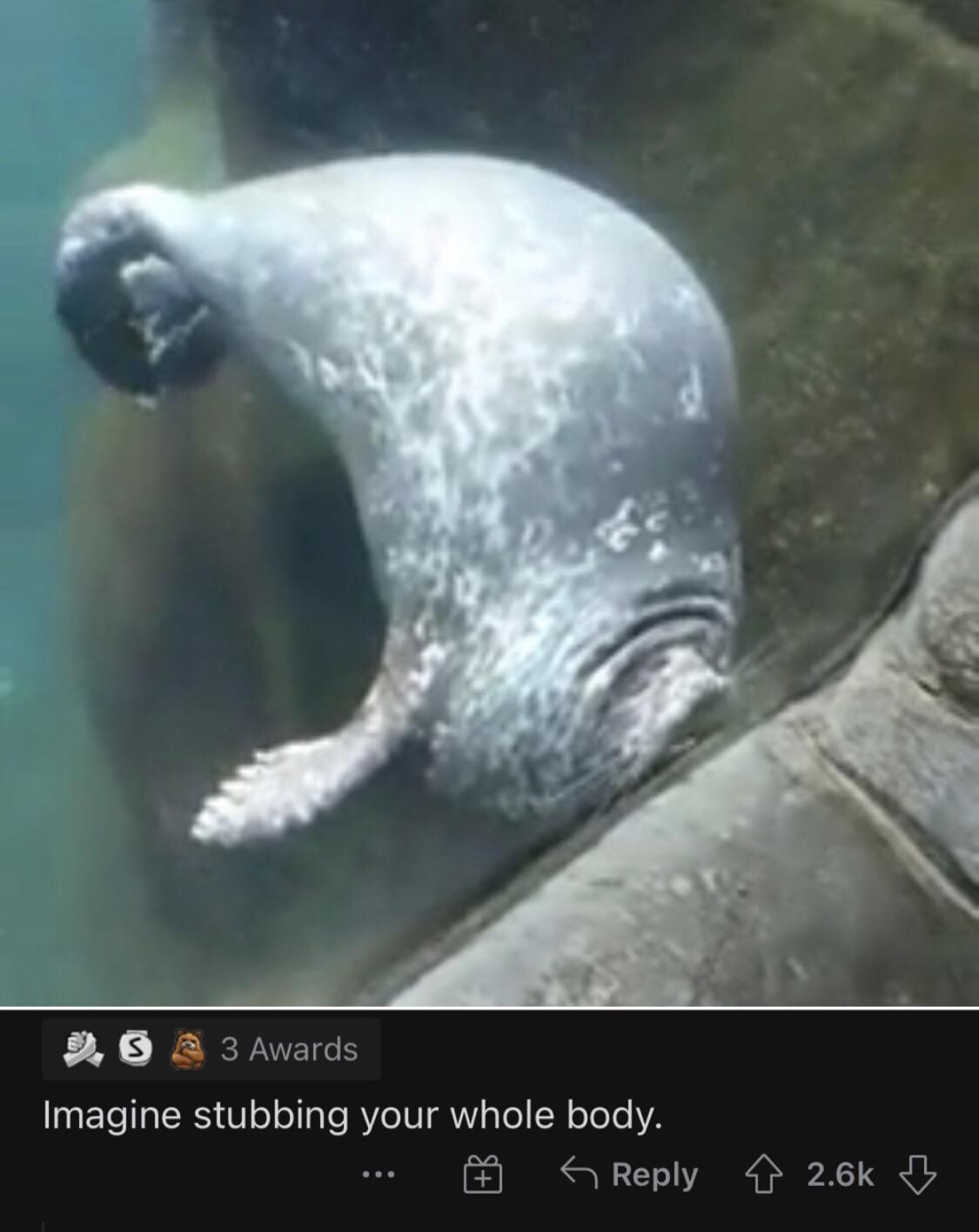 Cursed_stub | Scrolller