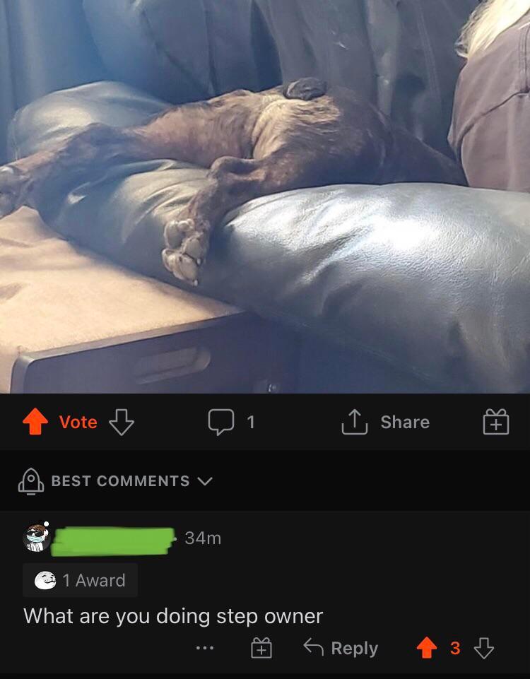 Cursed_Stuck Dog | Scrolller