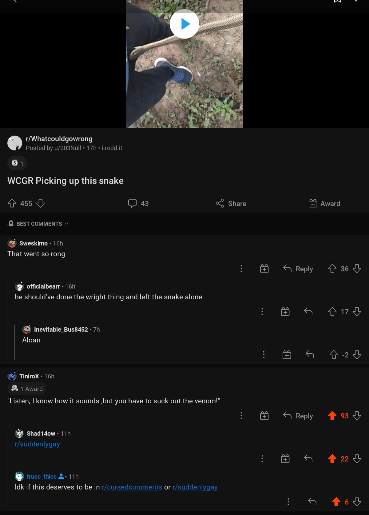 Cursed_survival skills | Scrolller