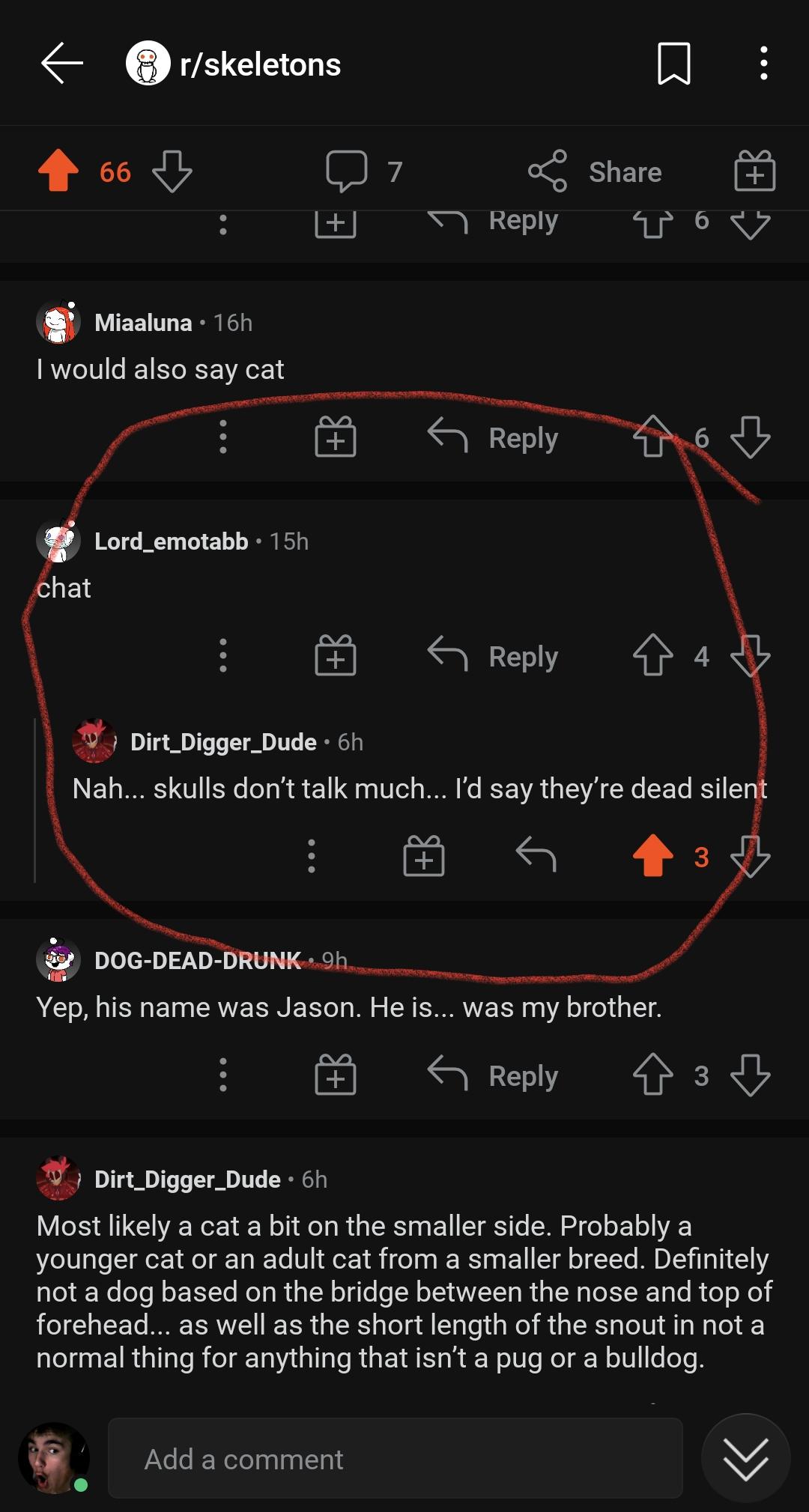 Cursed talking skull | Scrolller