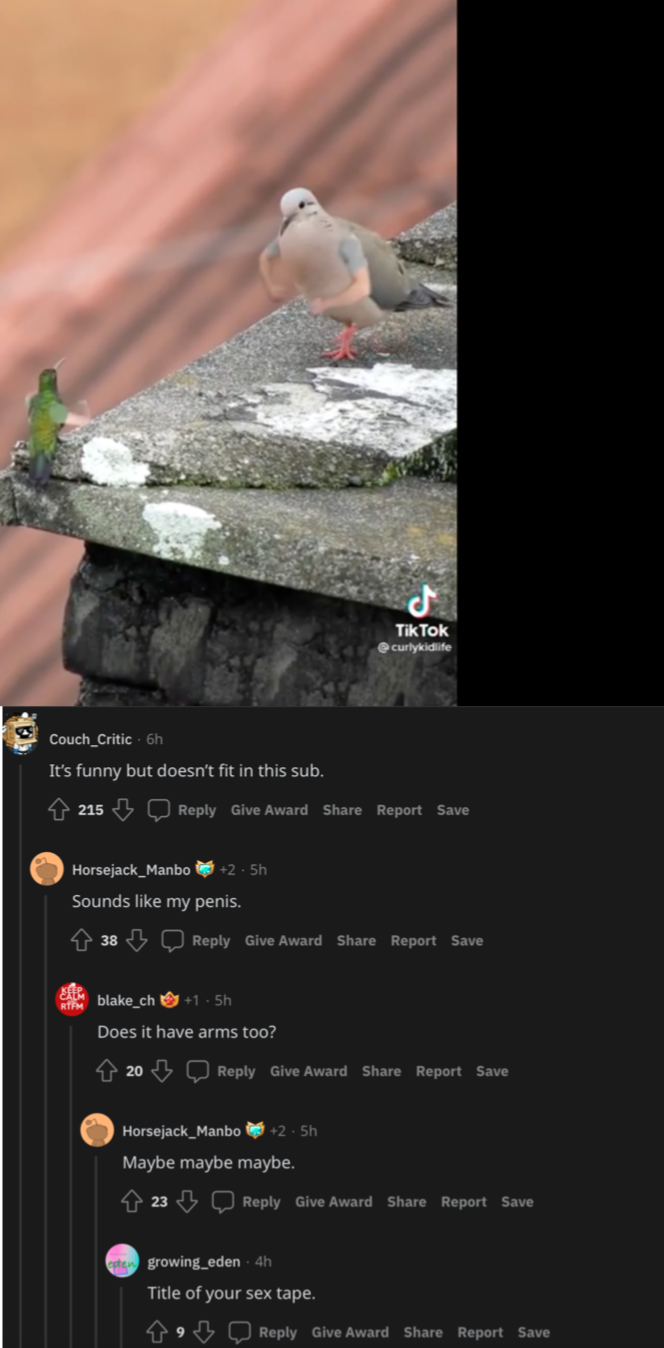 cursed_this mess | Scrolller