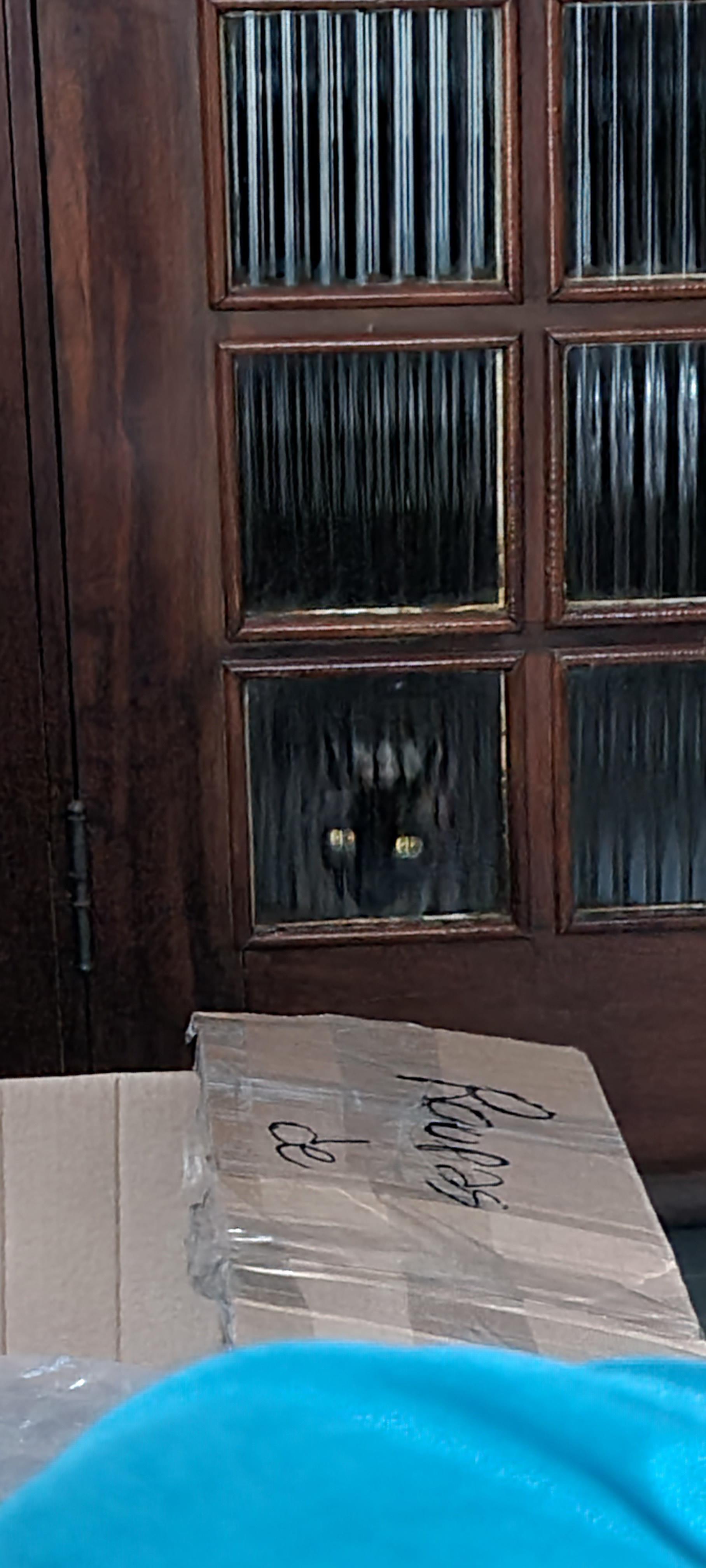 Cursed_watcher | Scrolller