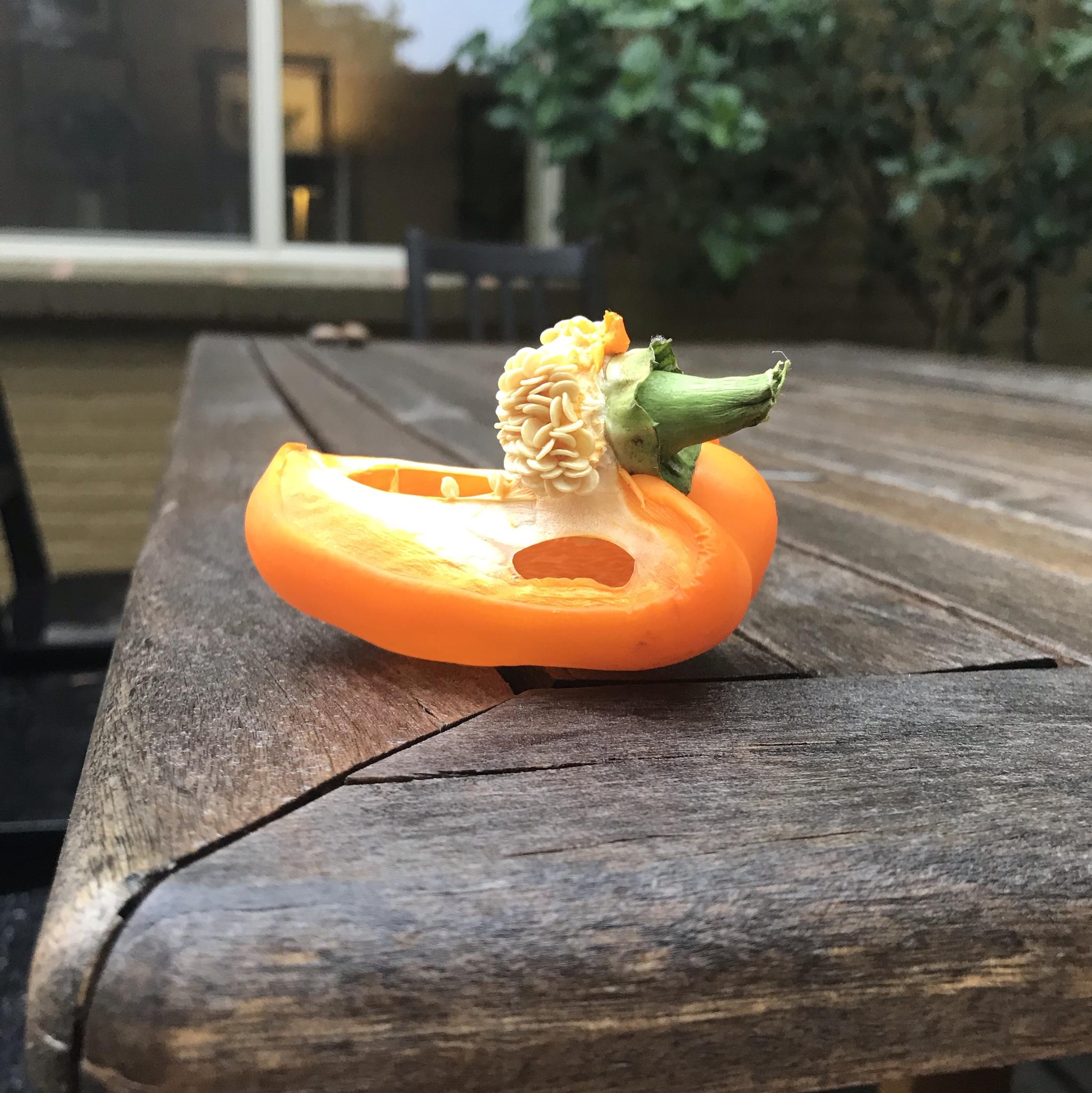 Cut bell pepper that looks like a duck | Scrolller
