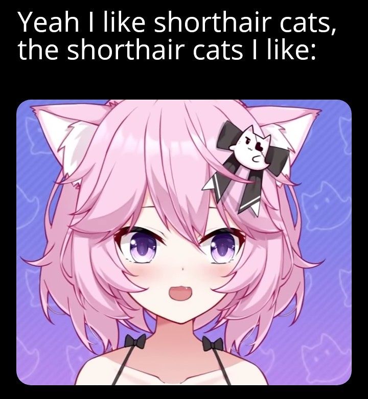 Cut looking fresh | Scrolller