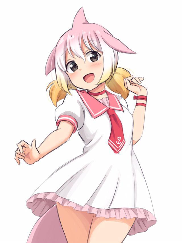 Cute Chinese White Dolphin | Scrolller