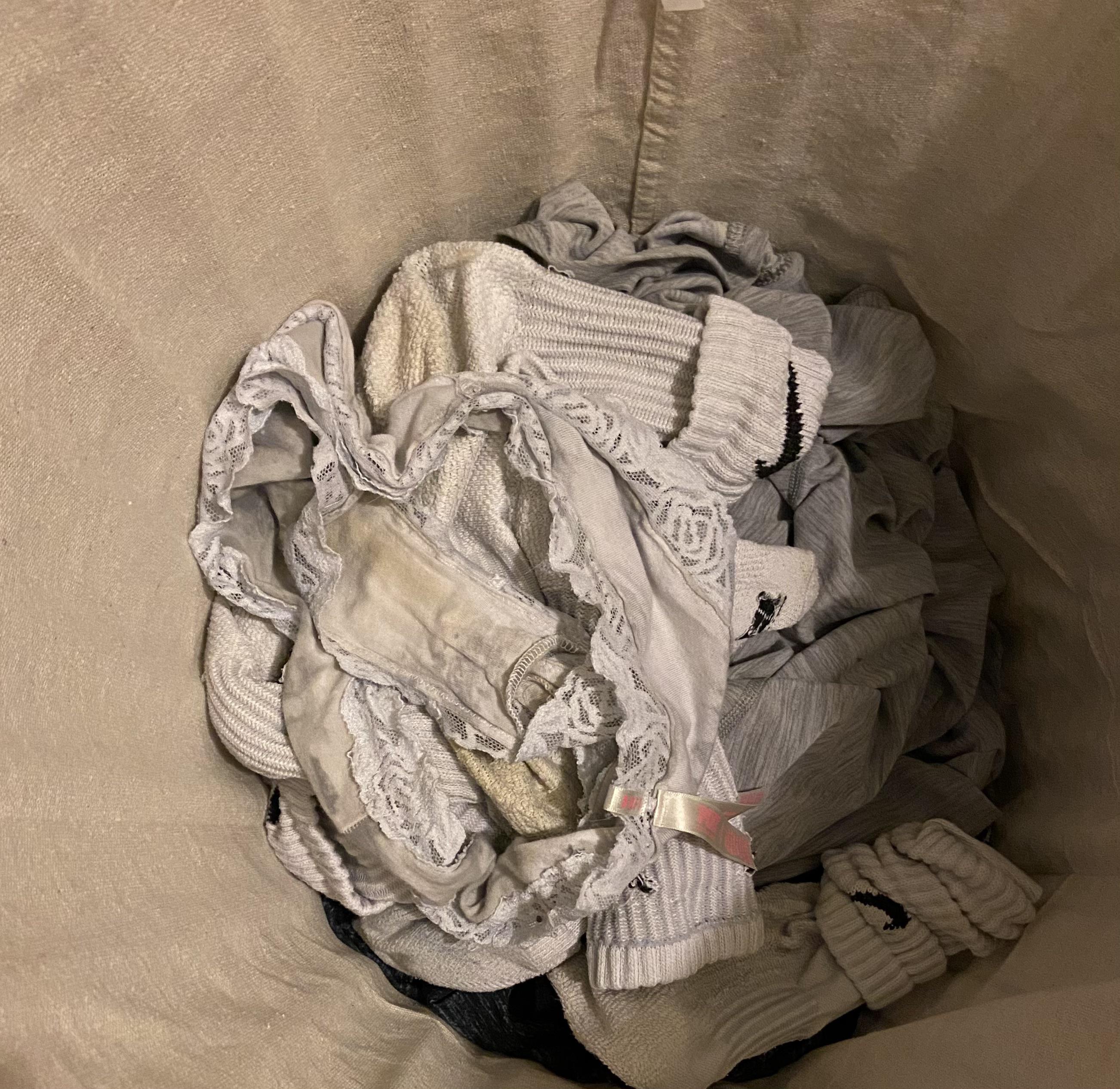 Cute cotton in the hamper | Scrolller