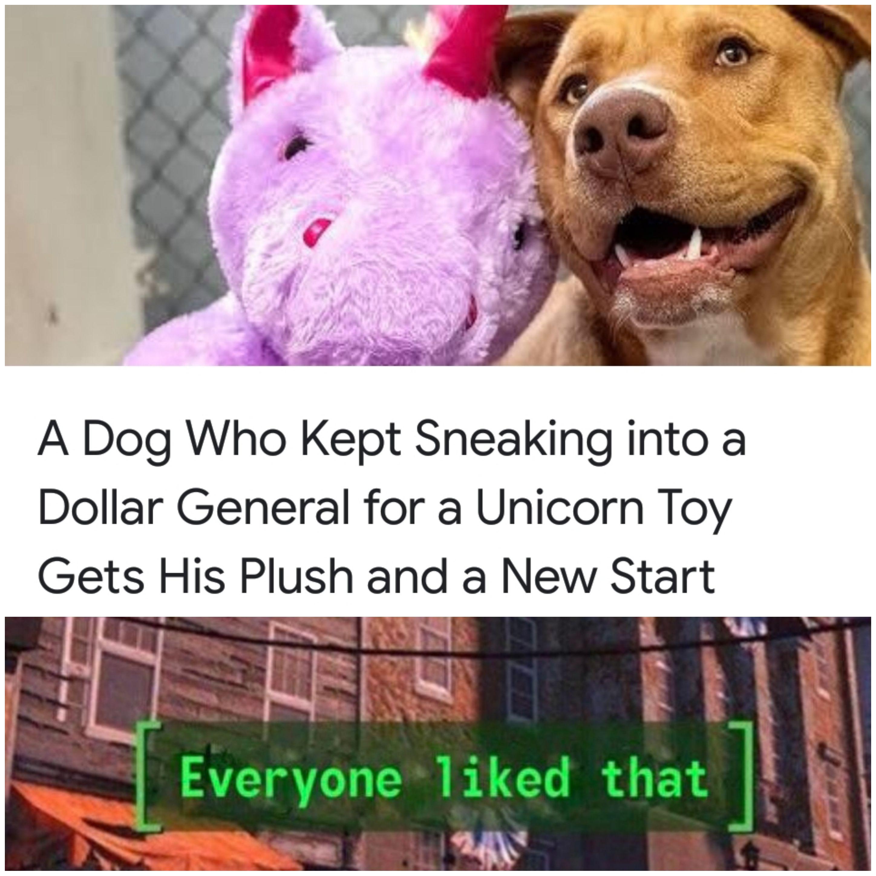 Cute doggo | Scrolller