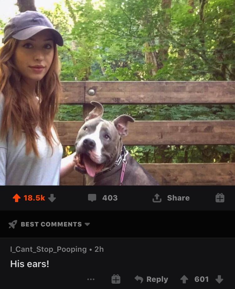 Cute ears | Scrolller