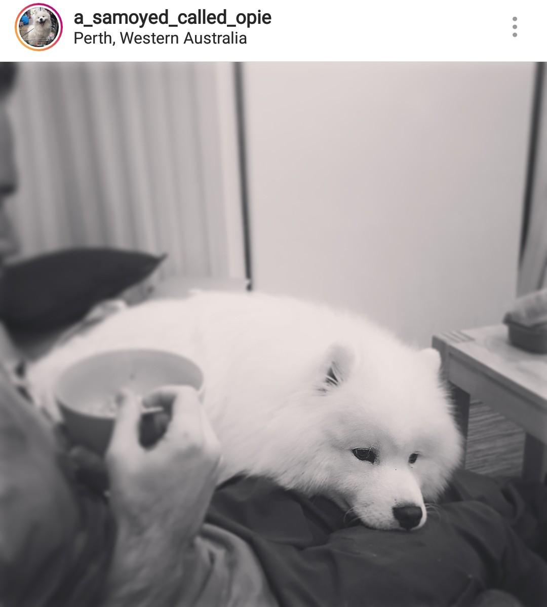 Cute white loaf | Scrolller