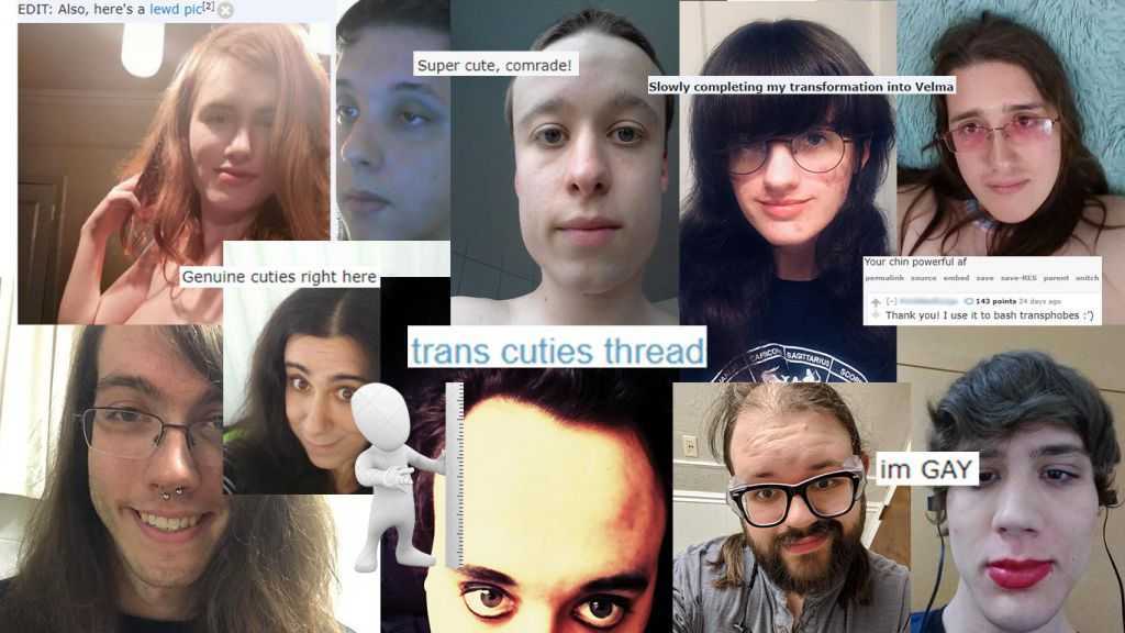 Cuties thread!!! | Scrolller