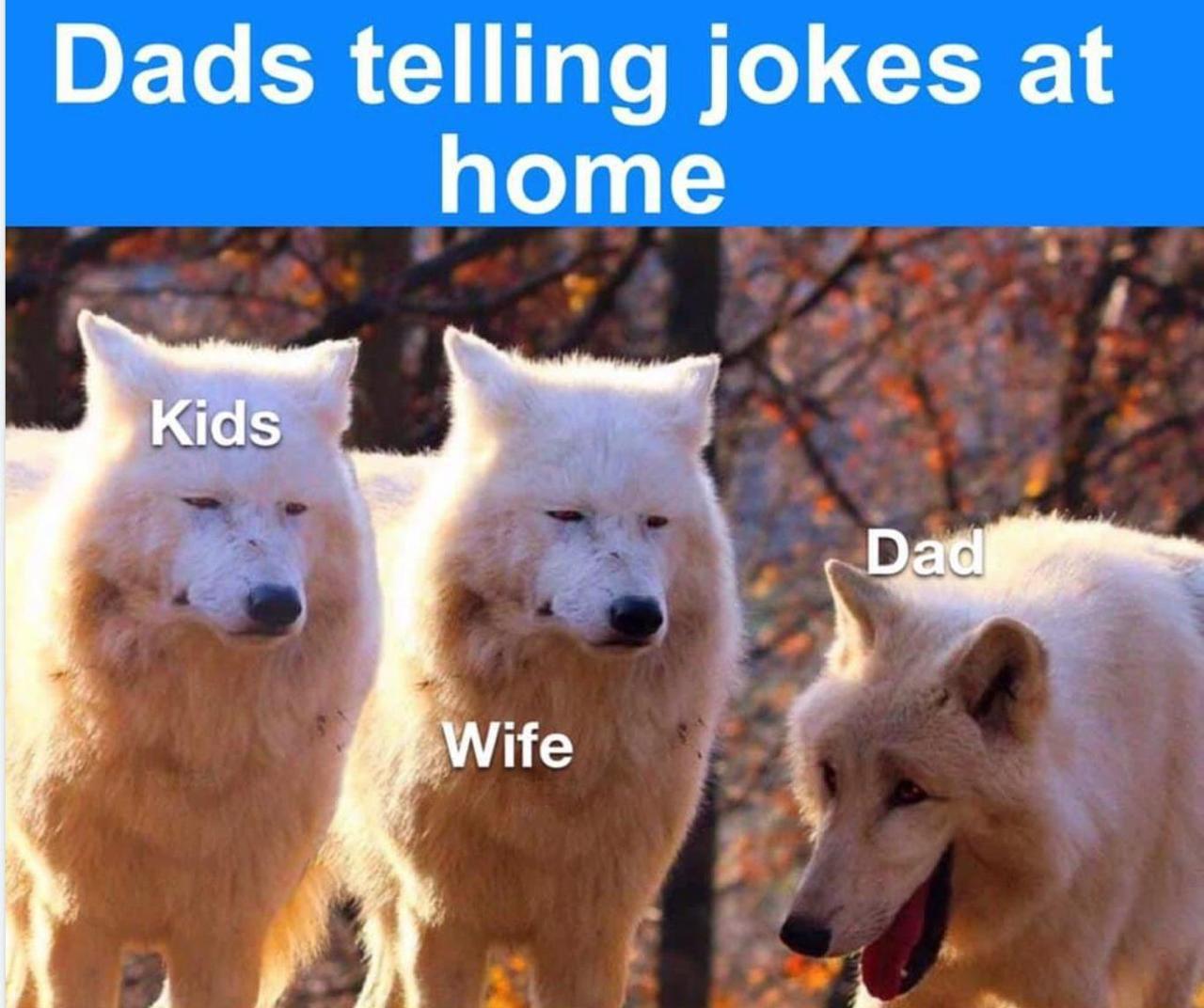 Dad Joke moment | Scrolller