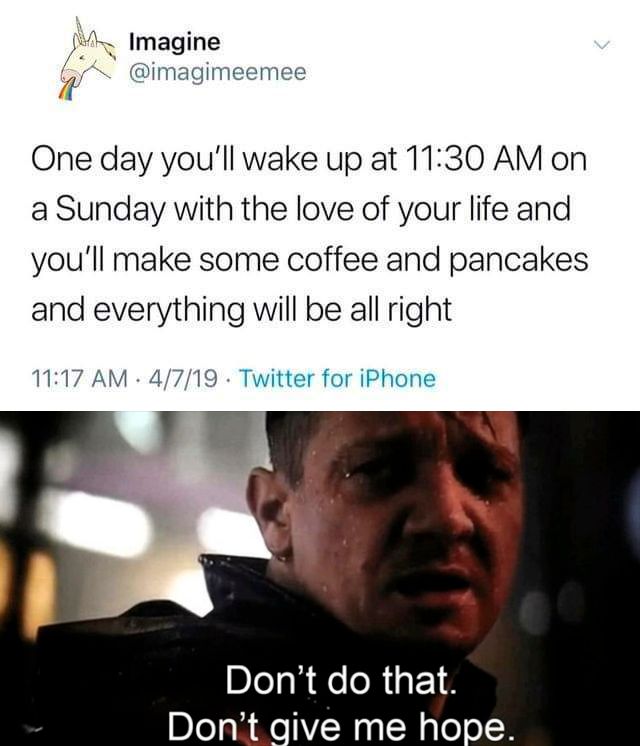 Daily FA Meme №1 | Scrolller