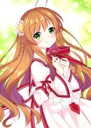 Daily Kotori #31 | Scrolller