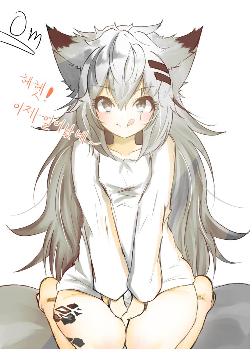 Daily Lapp #31 : Do you want headpat? | Scrolller