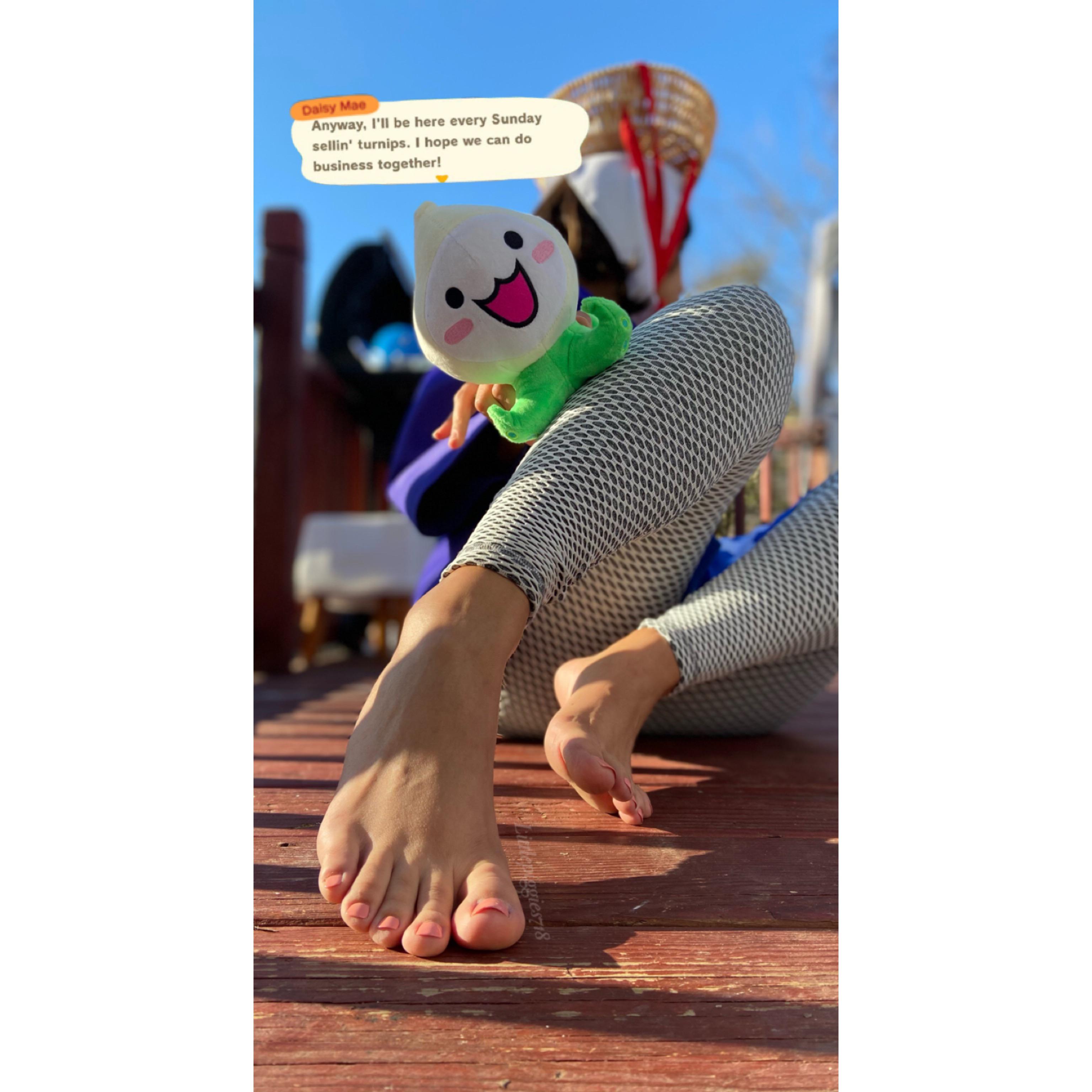 Daisy Mae is here turnips are only 90 bells today | Scrolller