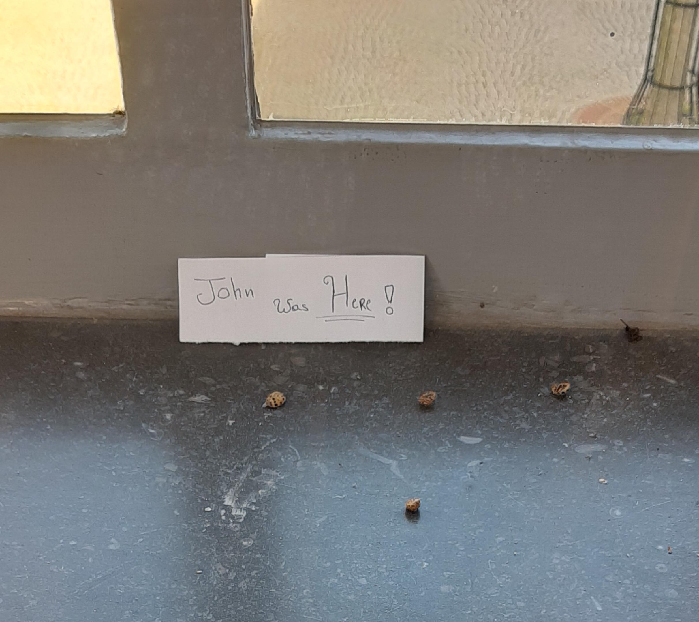 Dammit, always one step ahead | Scrolller