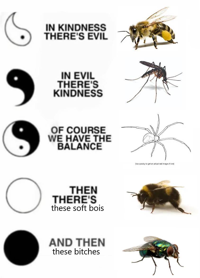 Damn flies | Scrolller