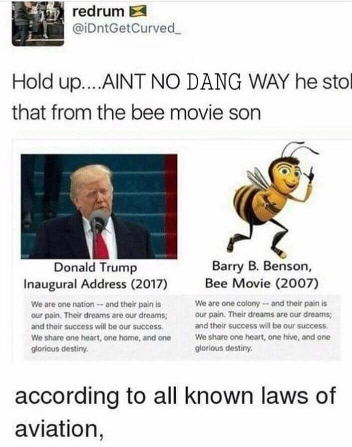 Damn son | Scrolller