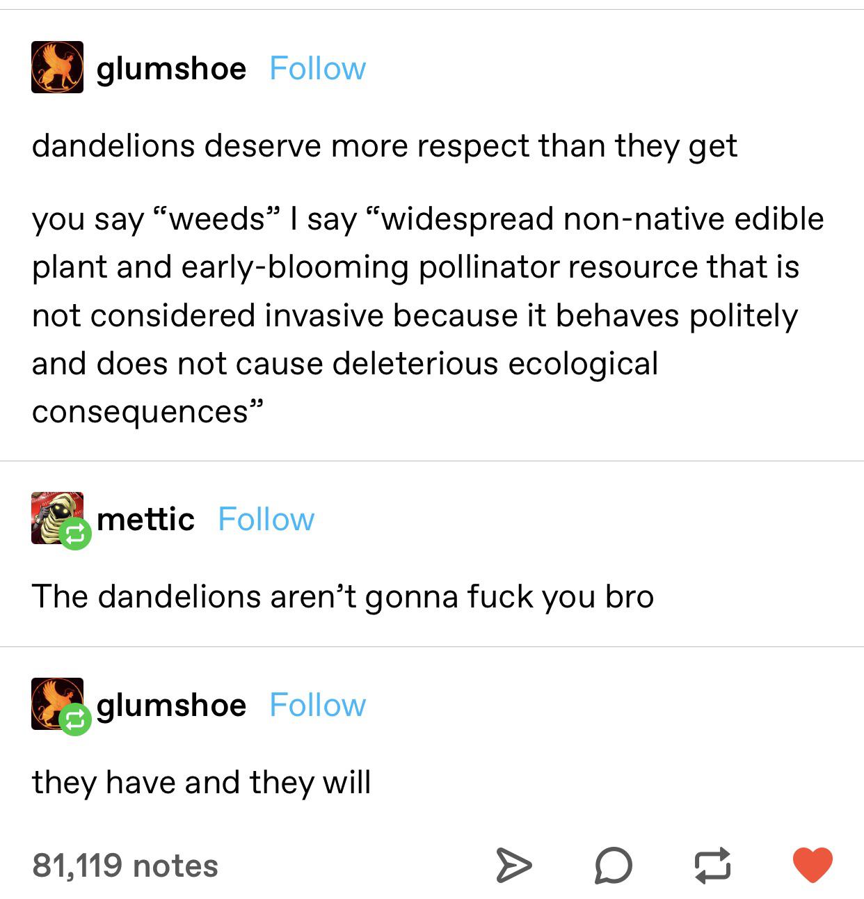 Dandelions my beloved | Scrolller