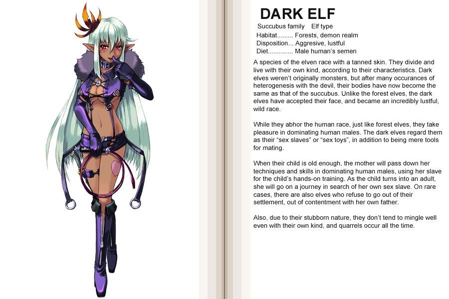 Dark Elf (monstergirl encyclopedia) | Scrolller