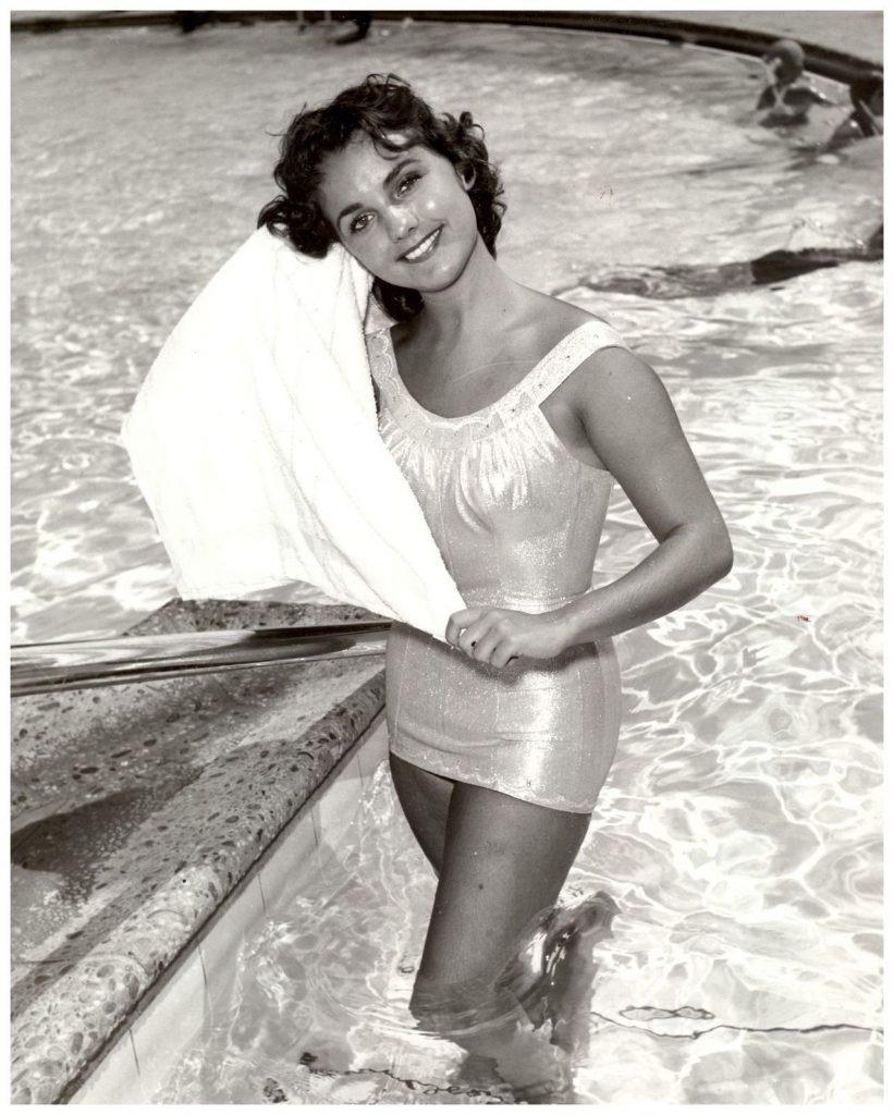 Dawn Wells | Scrolller