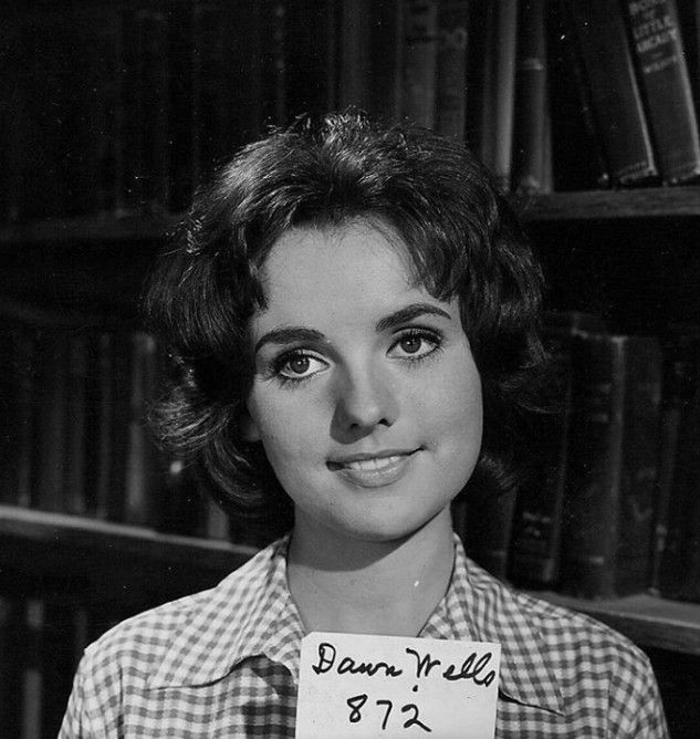 Dawn Wells | Scrolller