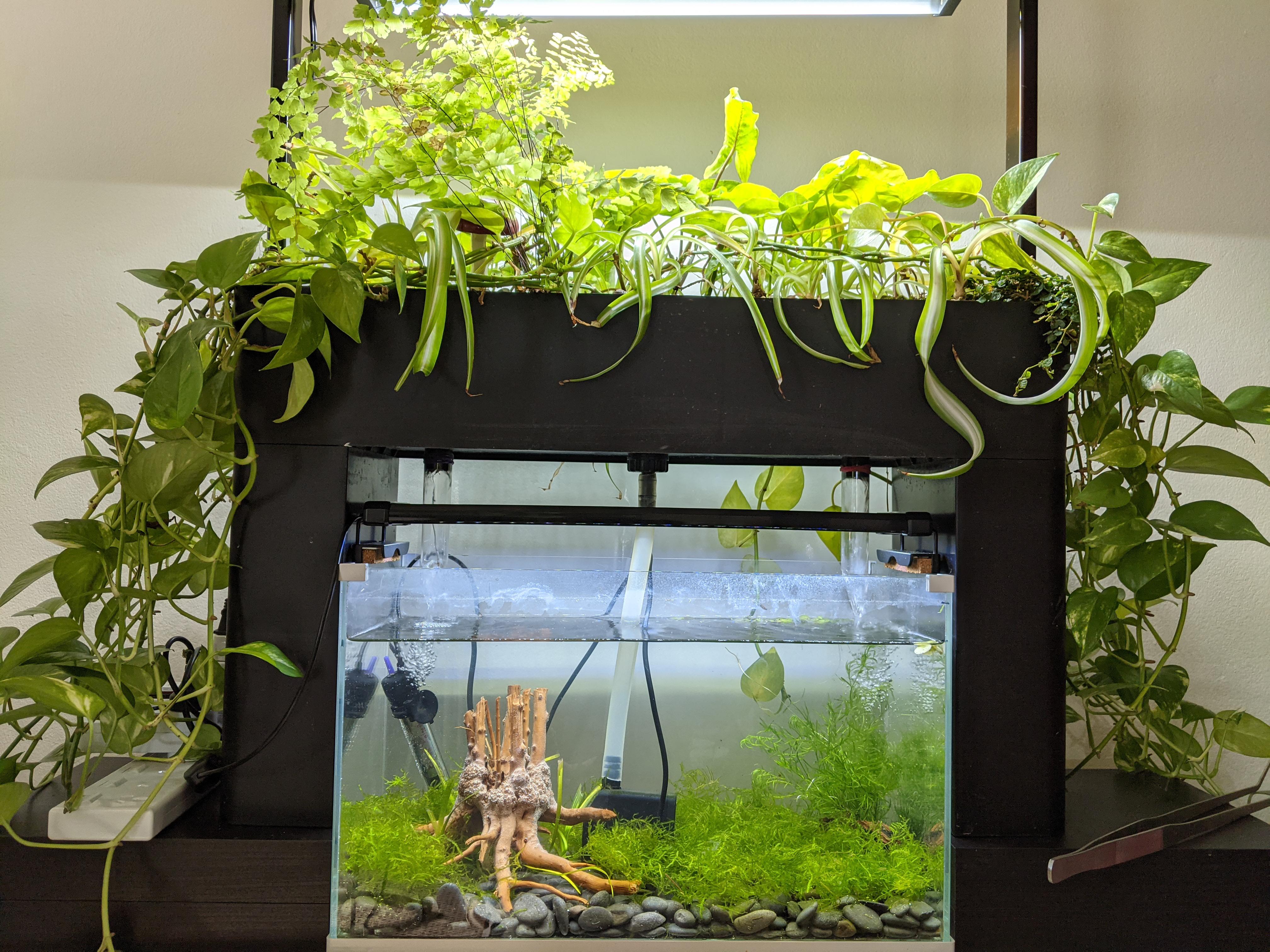 Day 2. Dum dum dum. Enjoying this moment before the algae starts taking off 🙈 | Scrolller