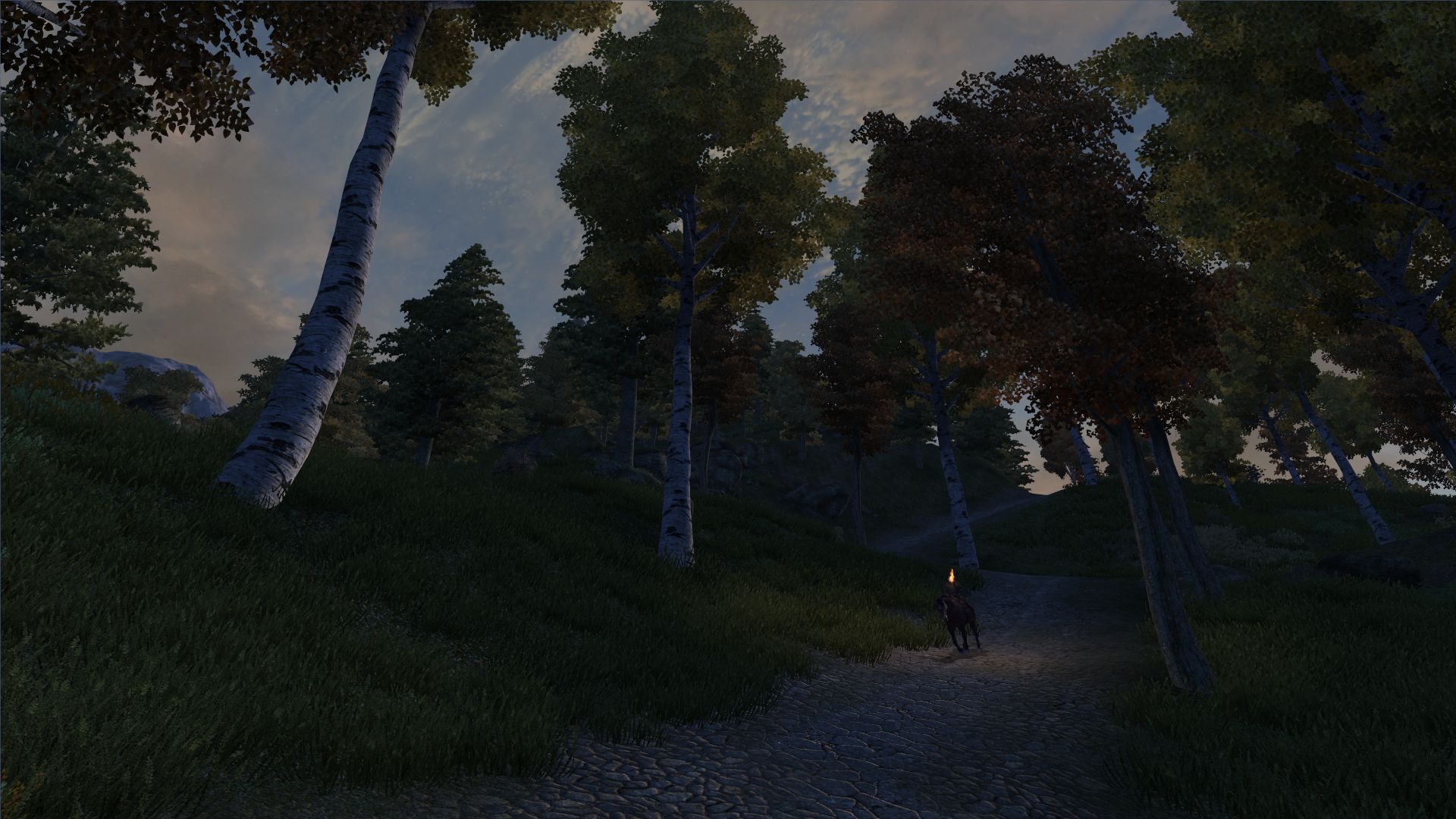 Daybreak | Scrolller