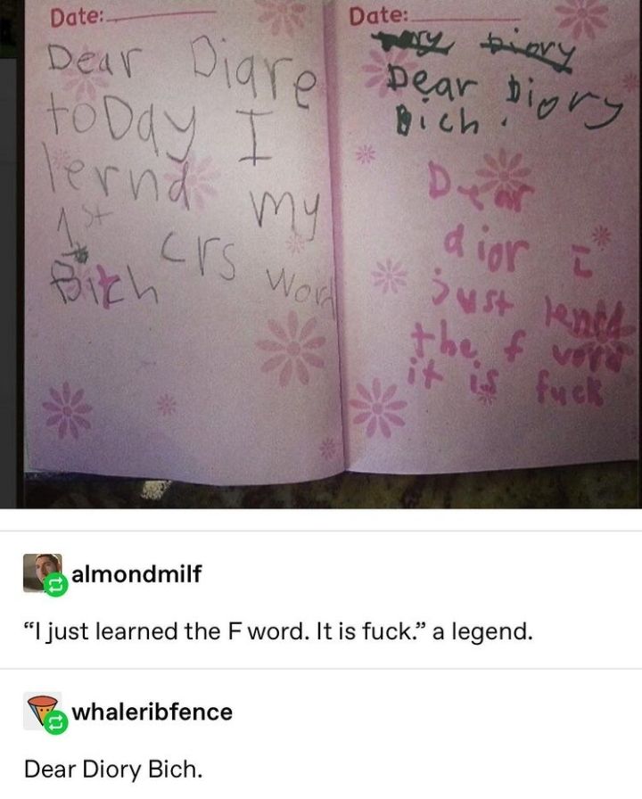 Dear diory | Scrolller