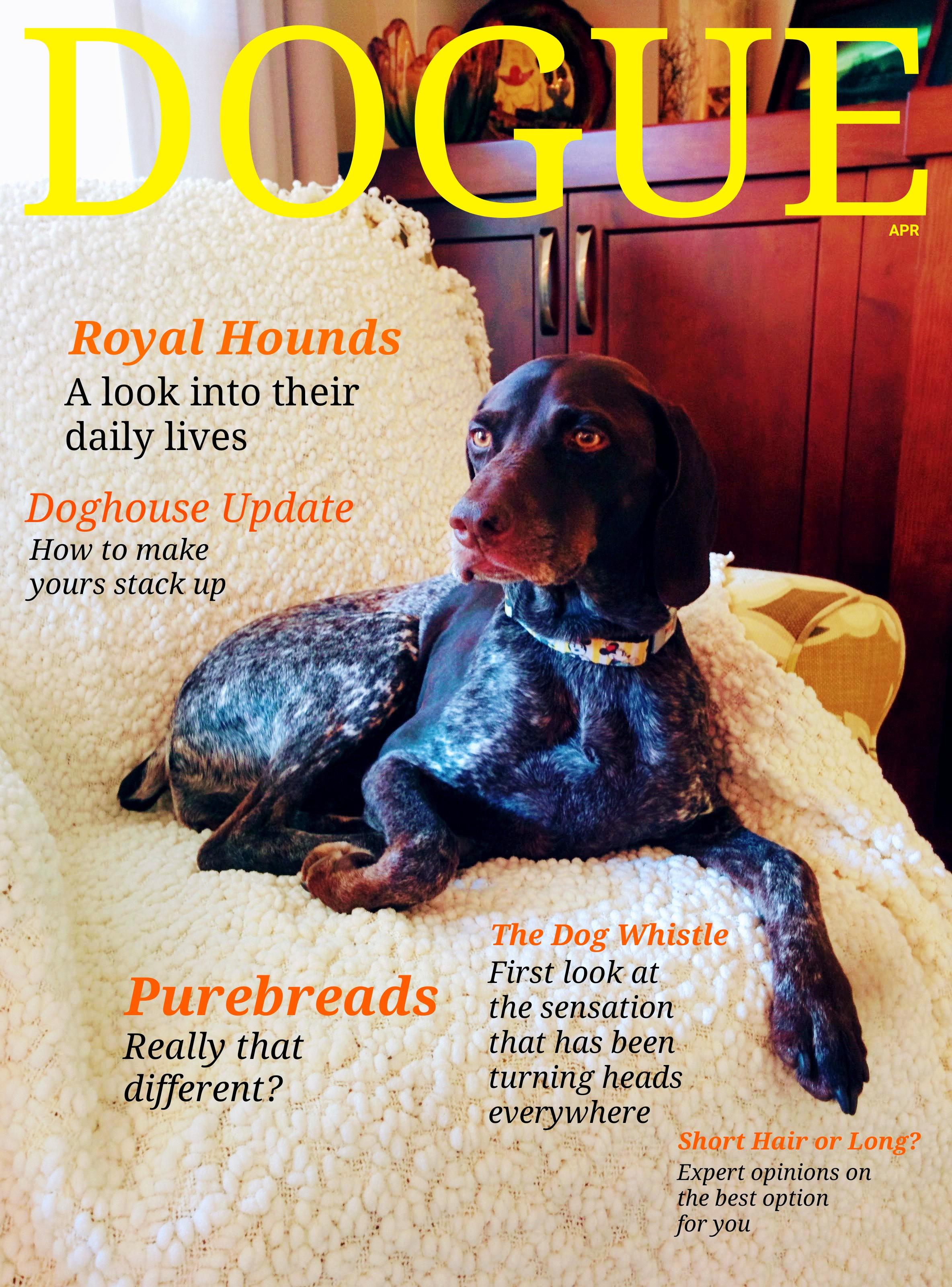 Deluxe issue | Scrolller