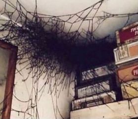 denial phase | Scrolller