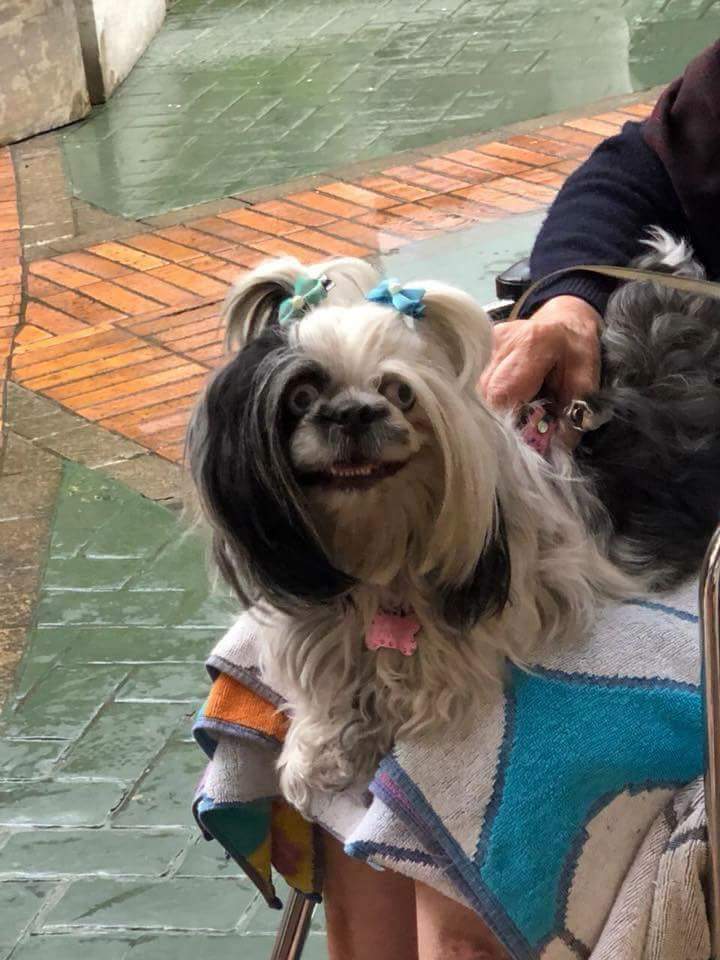 Derpy smile | Scrolller